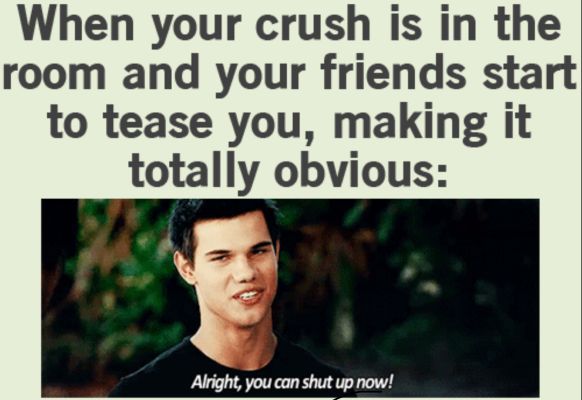 Relatable crush memes - Survey | Quotev