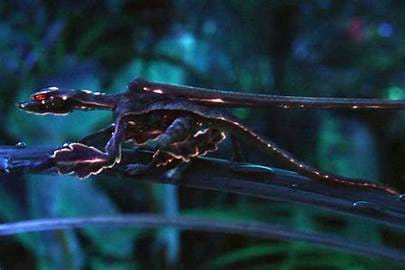 Your role in the Na'vi clan(Any clan) - Quiz | Quotev