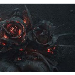 Published | Shadow | Quotev