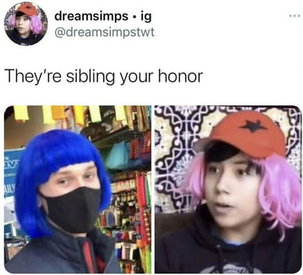Choose a DSMP meme get a DSMP meme - Quiz | Quotev
