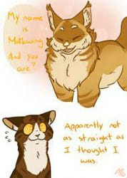 What next? - Poll | Quotev