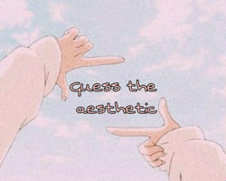 Guess the aesthetic - Test | Quotev