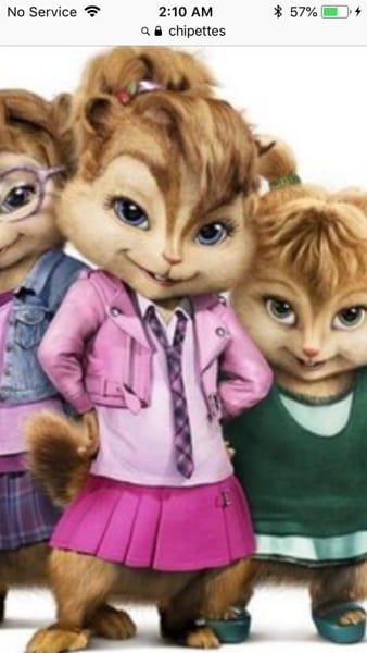 You’re chipmunk oc you - Quiz | Quotev