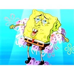 What Spongebob Character are you - Quiz | Quotev