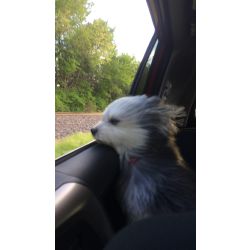 Are you a Party Animal or a Party Pooper ? - Quiz | Quotev