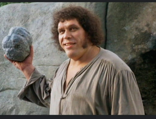 Can you guess all of these Princess Bride characters? - Test | Quotev