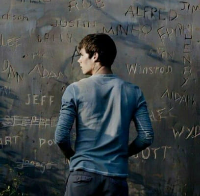 Maze Runner Best Friend - Quiz | Quotev