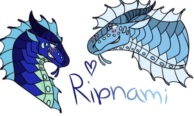 My wof ships- Do you agree? - Survey | Quotev