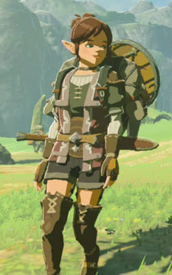 Zelda BotW NPC Quiz! - Test