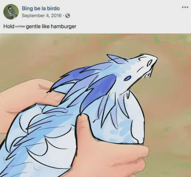 What do you know about Wings of Fire? - Test | Quotev