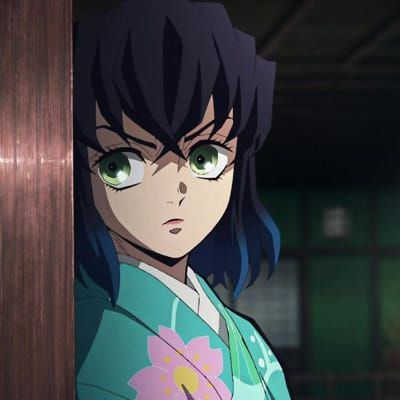 How well do you know Inosuke Hashibira - Test | Quotev