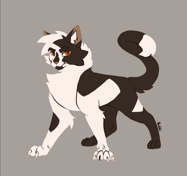 How well do you know Swiftpaw? - Test | Quotev