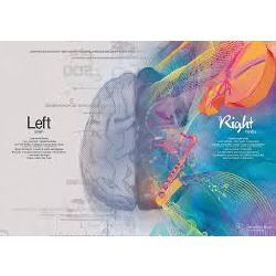 Left And Right Brain Mercedes Benz