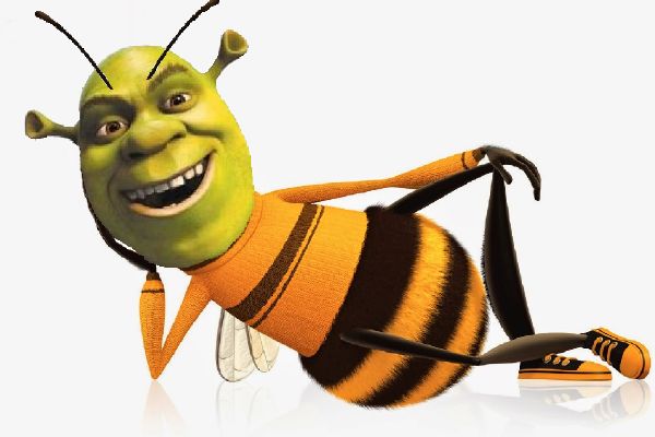 Who Will Love You More? Shrek or Barry B. Benson? - Quiz | Quotev
