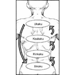 What kind of kagune would you have in Tokyo Ghoul? - Quiz | Quotev