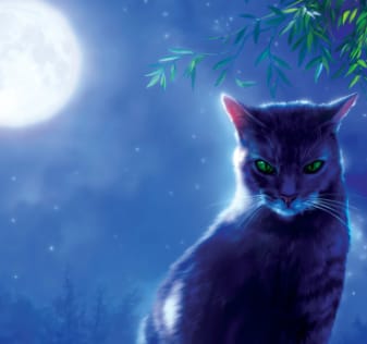 Tall Shadow | Quotev