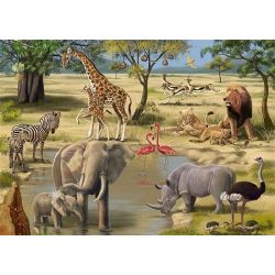 Savannah Highnote With Notes