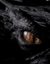 What's your signet ? (Fourth Wing) - Quiz | Quotev