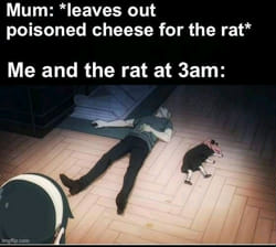 Would You Rather (Anime Questions) - Survey | Quotev