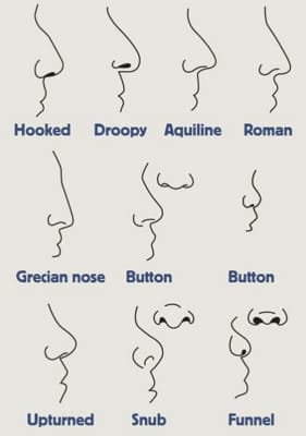 Nose Shapes Names