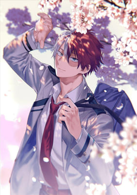 |Roki~San!| | Pick some things and answer some questions to get an mha ...