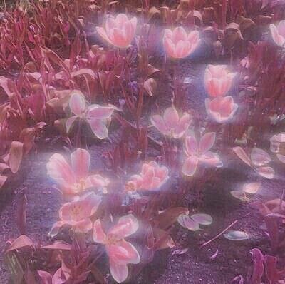 "199 Layouts" | Layouts | Quotev