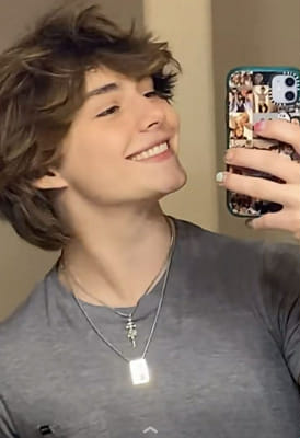 Which dsmp aesthetic fits you? - Quiz | Quotev