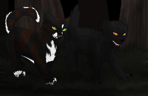 Do You Ship it or Rip it(Warriors Edition) - Survey | Quotev