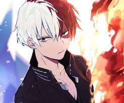 Write a Letter to Todoroki - Quiz | Quotev