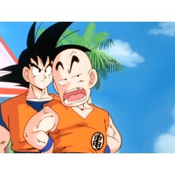 What Do The Dragon Ball Z Characters Think Of You? - Quiz | Quotev