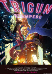 BellaBella-Chin | Quotev