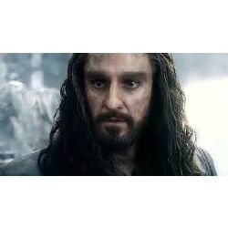 So Majestic Thorin Meme Flowers