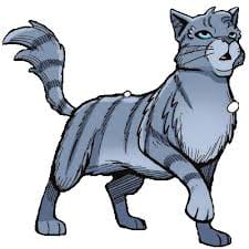 How much do you know Feathertail? - Test | Quotev