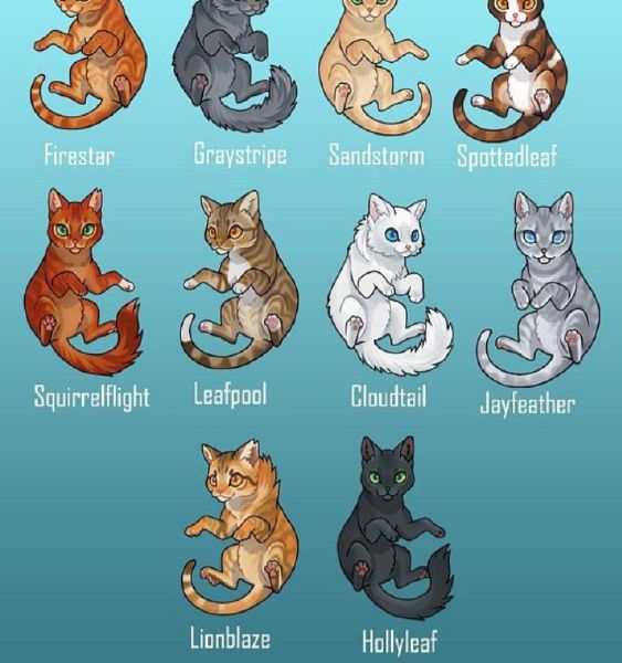Warrior Cats What Clan Are You Quiz Quotev Warrior Cats What Clan Are You Quiz Quotev