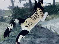 Are You a good medicine cat (WCUE) - Quiz | Quotev