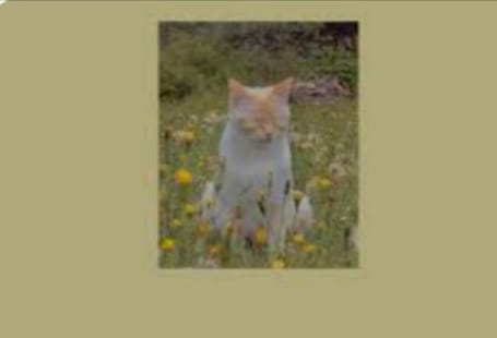 Pick some random images and get a Catfish (TV show on MTV) meme - Quiz ...