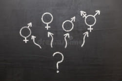 Transgender Quizzes | Quotev