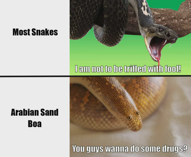 Book Poll - Survey | Quotev