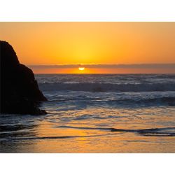 New Book Poll - Survey | Quotev