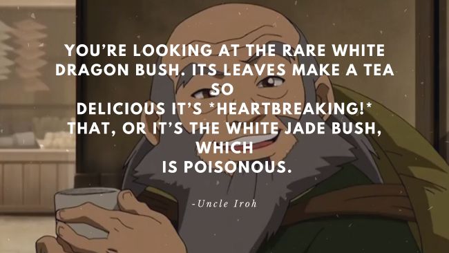 What Bender are you? Avatar: The Last Airbender - Quiz | Quotev