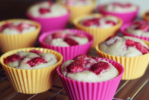 Muffin Quiz~Quiz Request - Quiz | Quotev