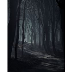 Will you survive the Lost woods? - Quiz | Quotev