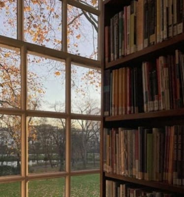 Have a cozy fall day! - Quiz | Quotev