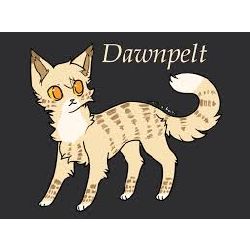 How Well Do You Know Dawnpelt? - Test | Quotev