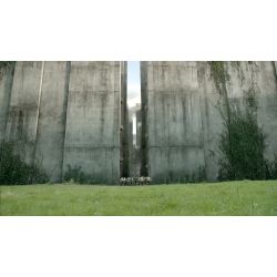 Your Maze Runner Life! - Quiz | Quotev