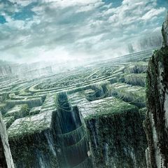 Maze Runner: Could You Survive The Maze? - Quiz | Quotev