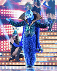 Which Masked Singer Character are you From Season 1? - Quiz | Quotev