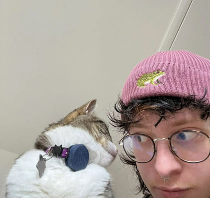 Calling all cavetown fans !! (cavetown survey) - Survey | Quotev