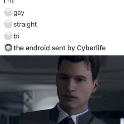 Do you really know the android sent by Cyberlife? - Test | Quotev