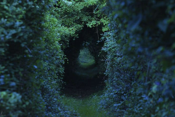 Trapped in a weirdcore house - Quiz | Quotev